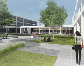 Prep Work for Renovation of Prominent Elm Street Student Residence ...