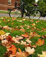 Photo Gallery: Fall Colors on Campus – Smith College Grécourt Gate