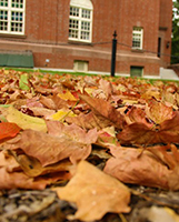 Photo Gallery: Fall Colors on Campus – Smith College Grécourt Gate