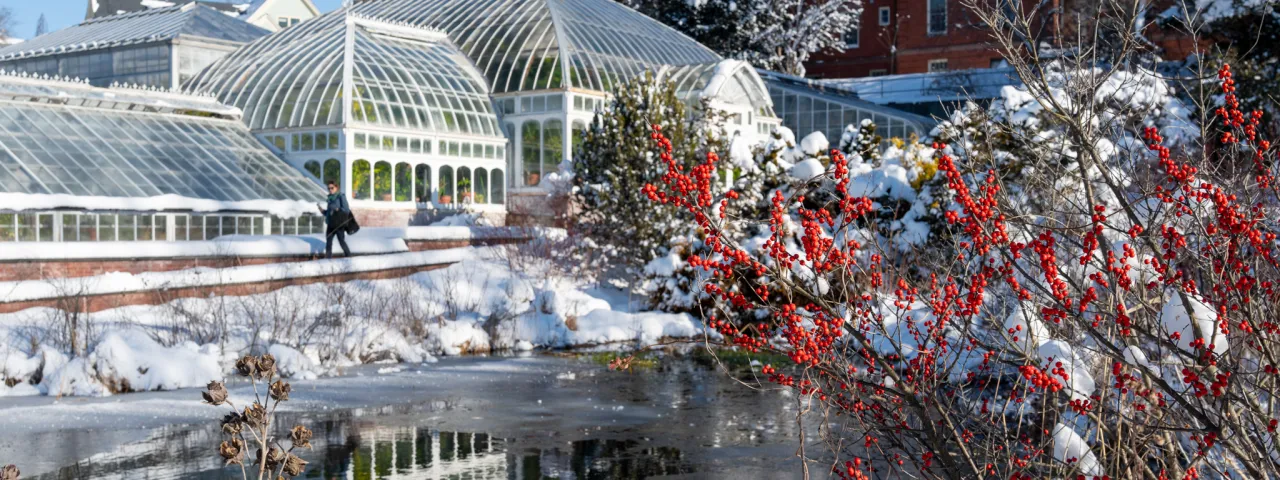 End of Semester Survival Guide