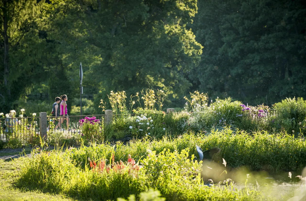 Home: Smith College | Smith College