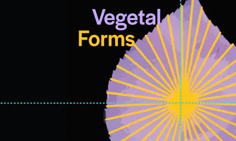 Vegetal Forms: Knowing Place and Time Through Plants
