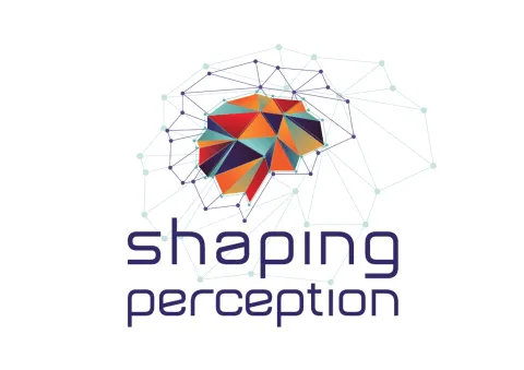 Shaping Perception