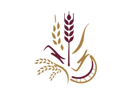 Foodways: Rooted, Made, Shared, Imagined
