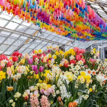 Smith College | Art Around Campus